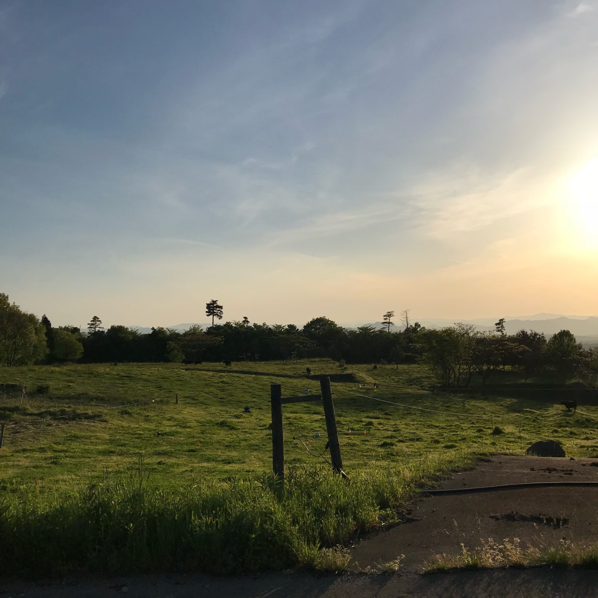 音楽家OLAibiさんの訃報 | 暮らしを綴る